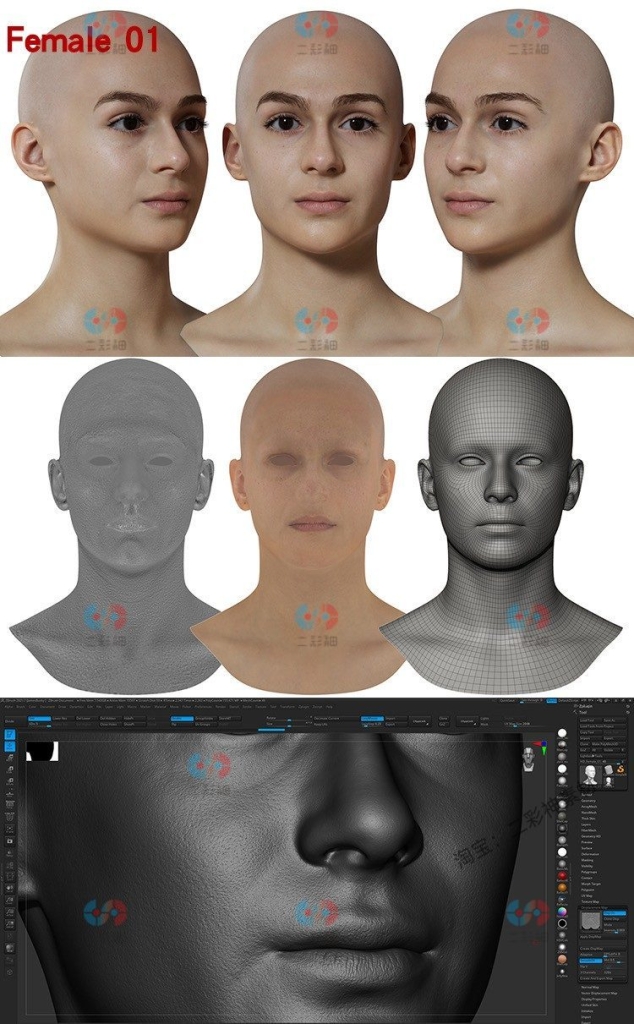 Male & Female / 16 x HD Displacement Map Pack 01 zbrush男性女性C4D头部皮肤细节置换贴图ps动作纹理贴图3D素材C5791 - 创意街-创意街